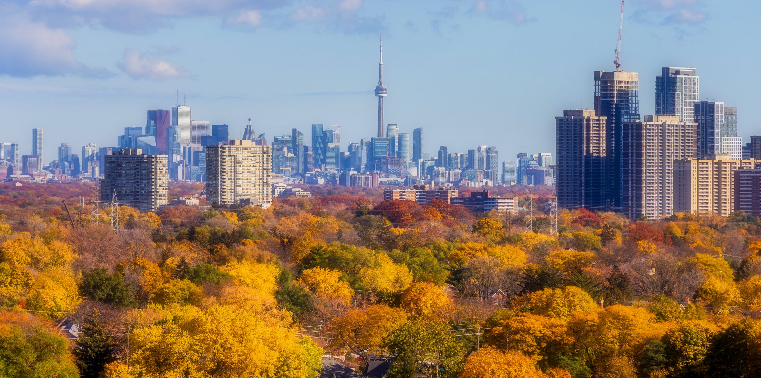 Why Leslieville Is a Great Toronto Neighbourhood to Raise a Family